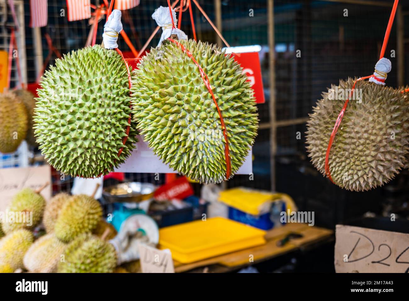 Durian fruit in fruit market in Asia. The durian is the edible fruit of ...