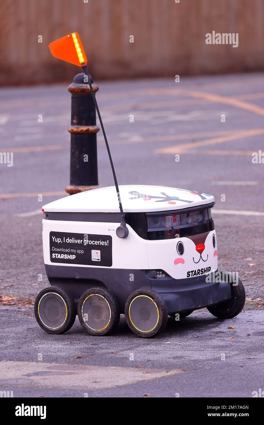 Starship Technologies grocery delivery robots decorated as reindeers ...