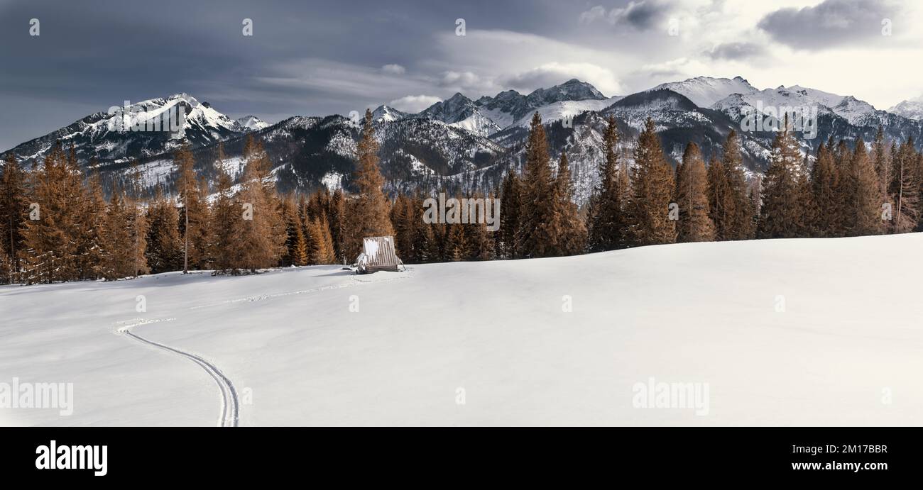 A trajectory on the white snow leading to the High Tatras (Tatry ...