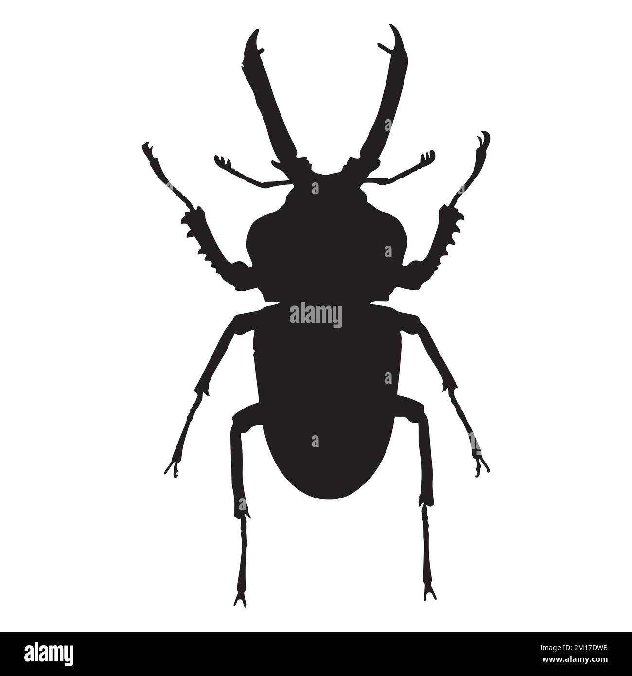 Vector Illustration of Beetle Silhouette Stock Vector Image & Art - Alamy