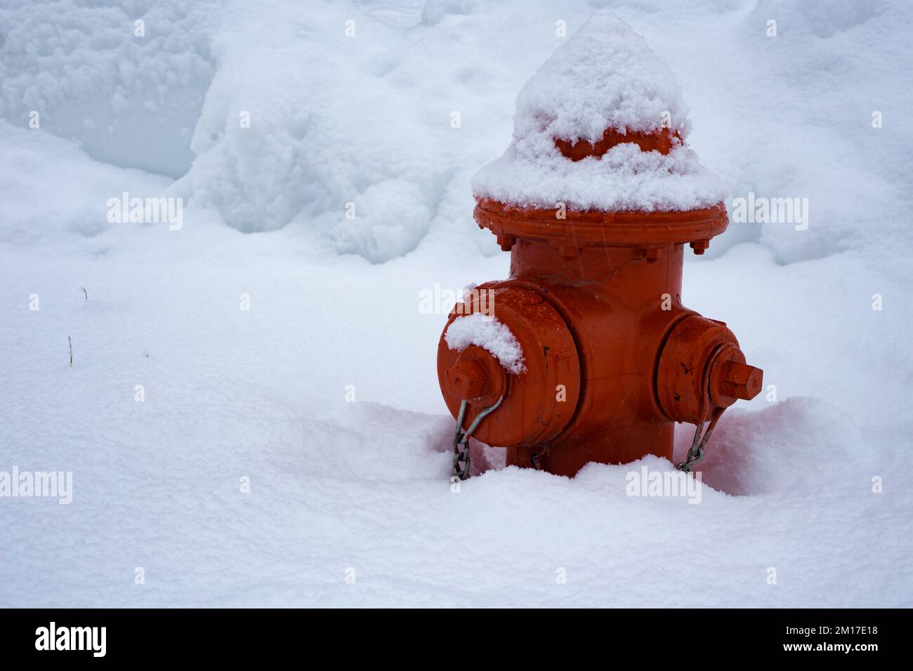 A red fire hydrant covered in snow, in Troy, Montana Stock Photo - Alamy