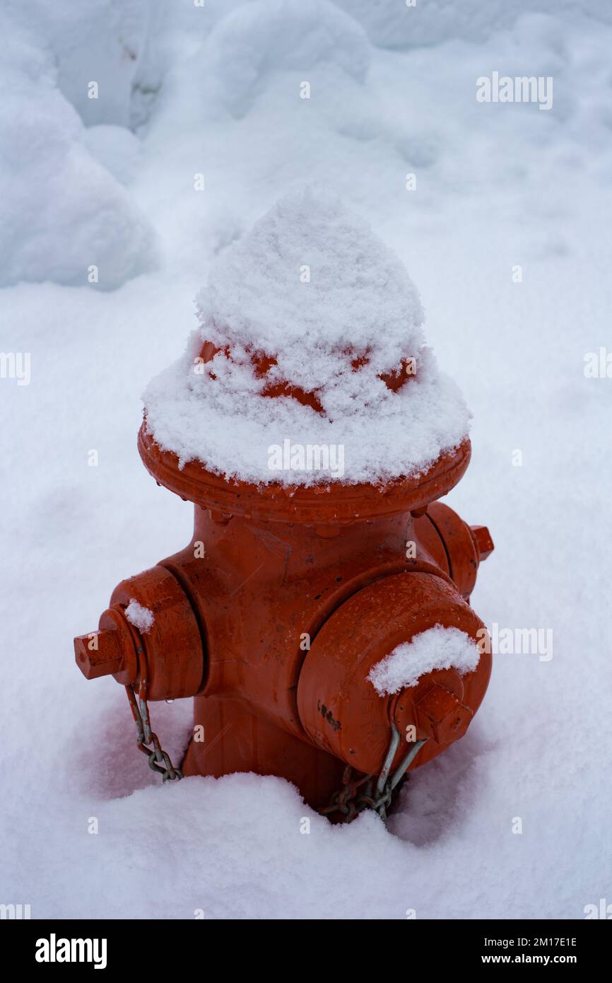Fire hydrant in la hi-res stock photography and images - Alamy