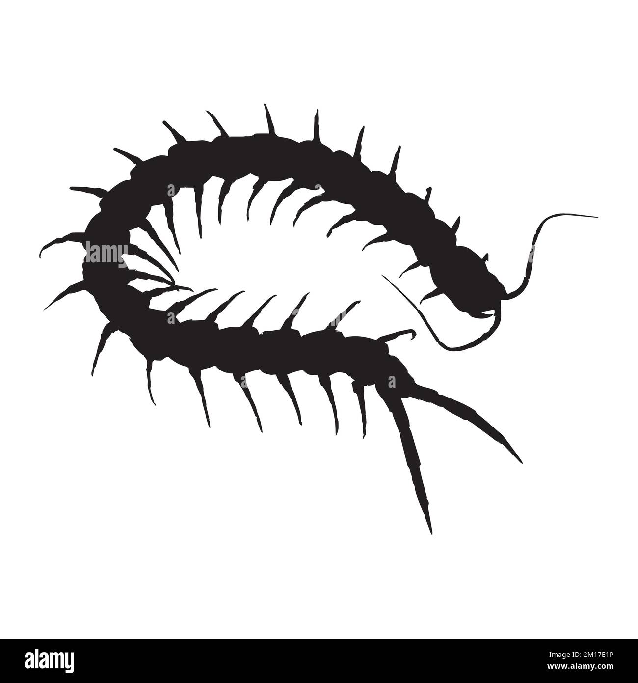 Centipede Silhouette Art Stock Vector Image & Art - Alamy