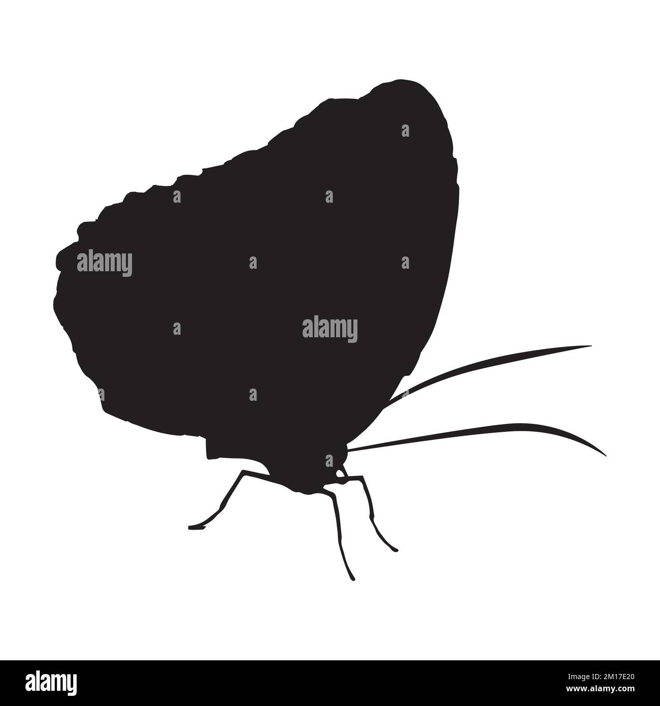 Butterfly silhouette flower Cut Out Stock Images & Pictures - Alamy