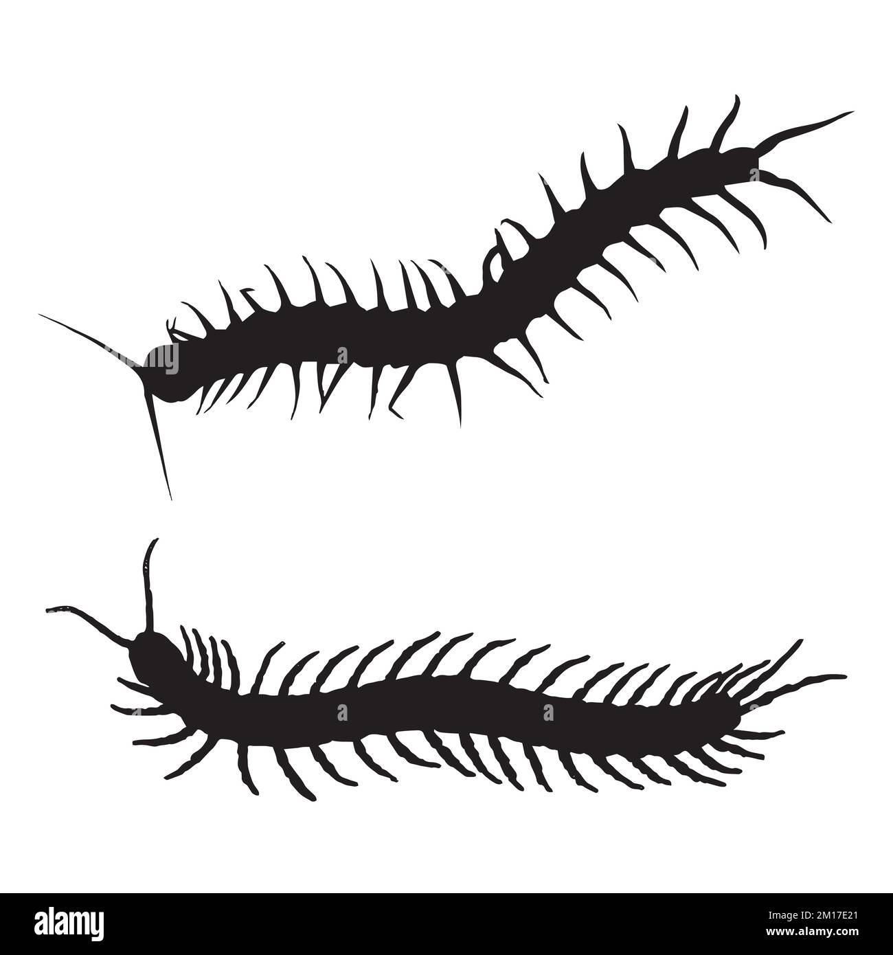Centipede Silhouette Art Stock Vector Image & Art - Alamy