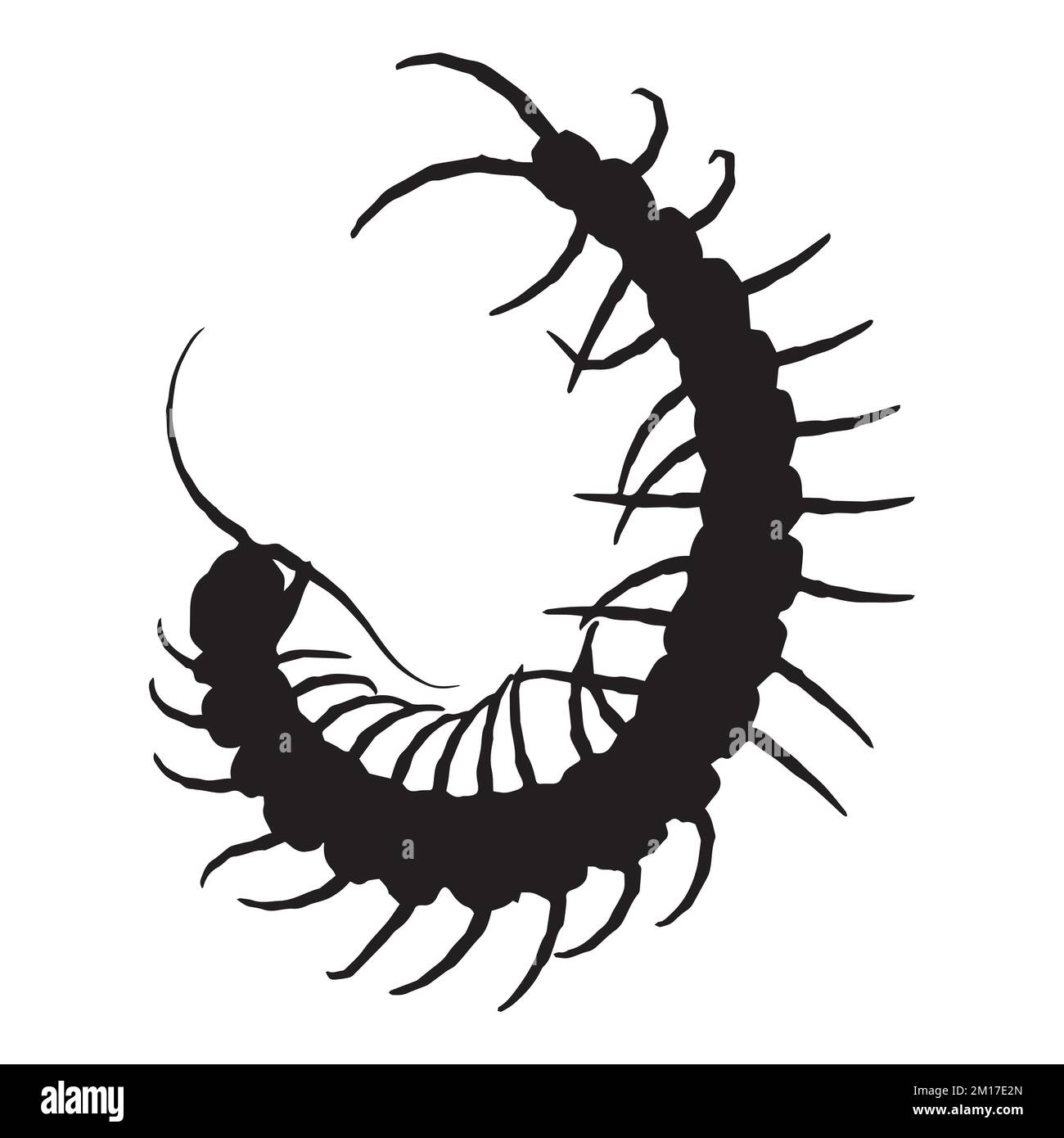 Centipede art hi-res stock photography and images - Alamy