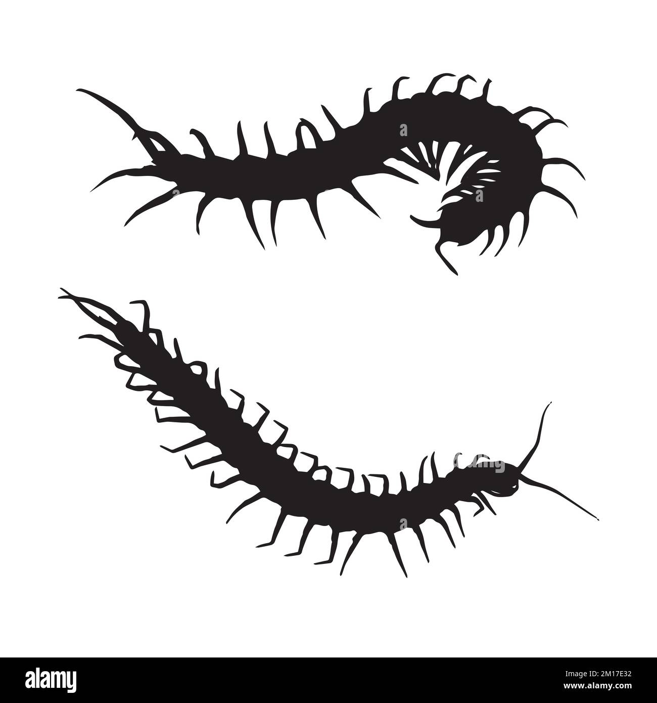 Centipede Silhouette Art Stock Vector Image & Art - Alamy
