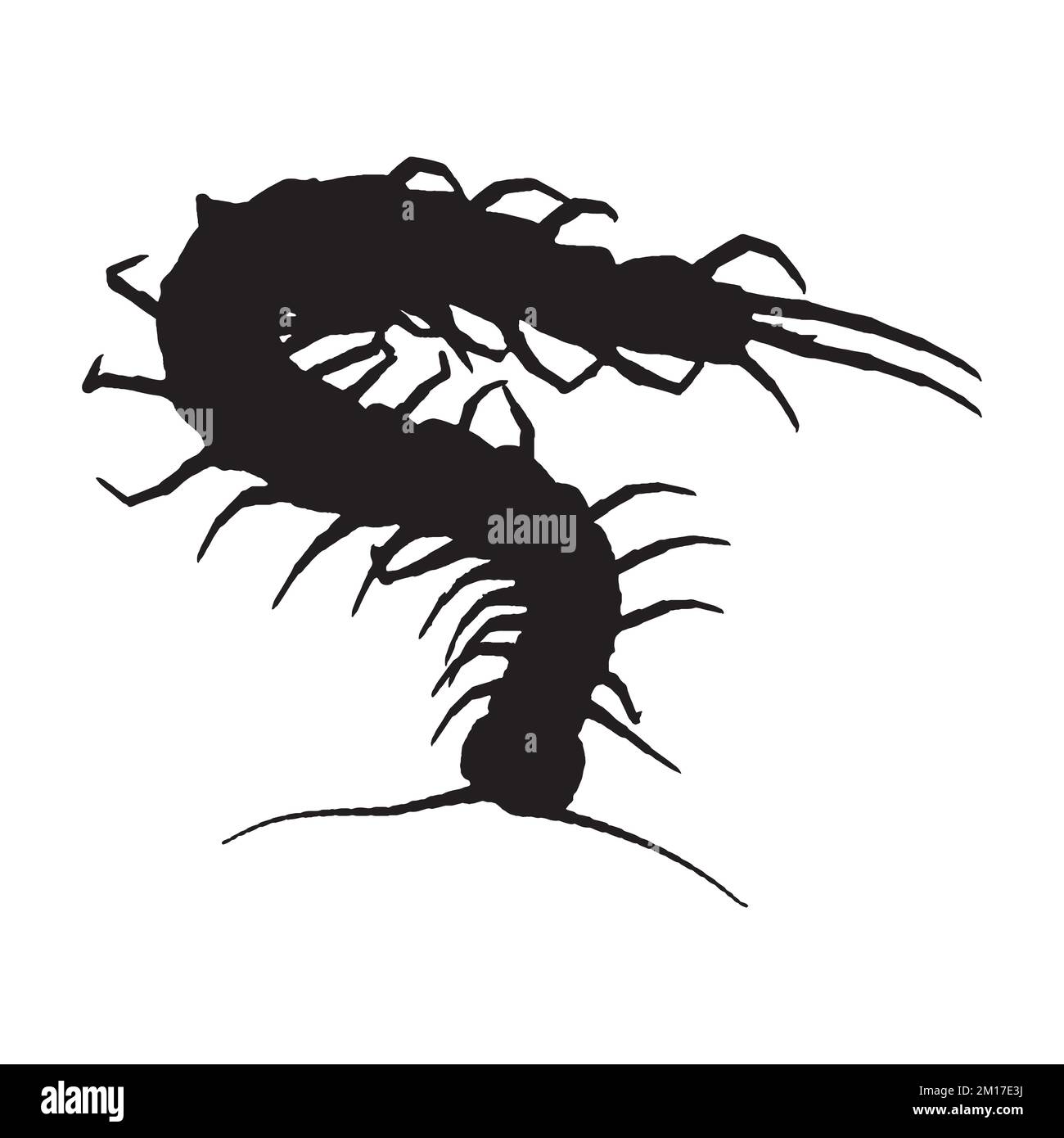 Centipede Silhouette Art Stock Vector Image & Art - Alamy