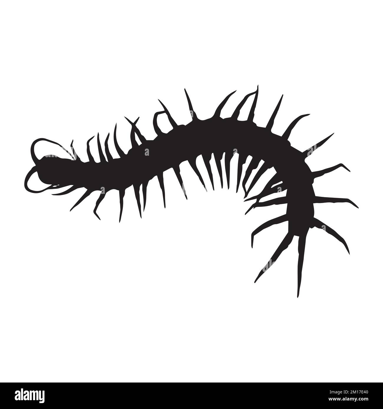 Centipede Silhouette Art Stock Vector Image & Art - Alamy