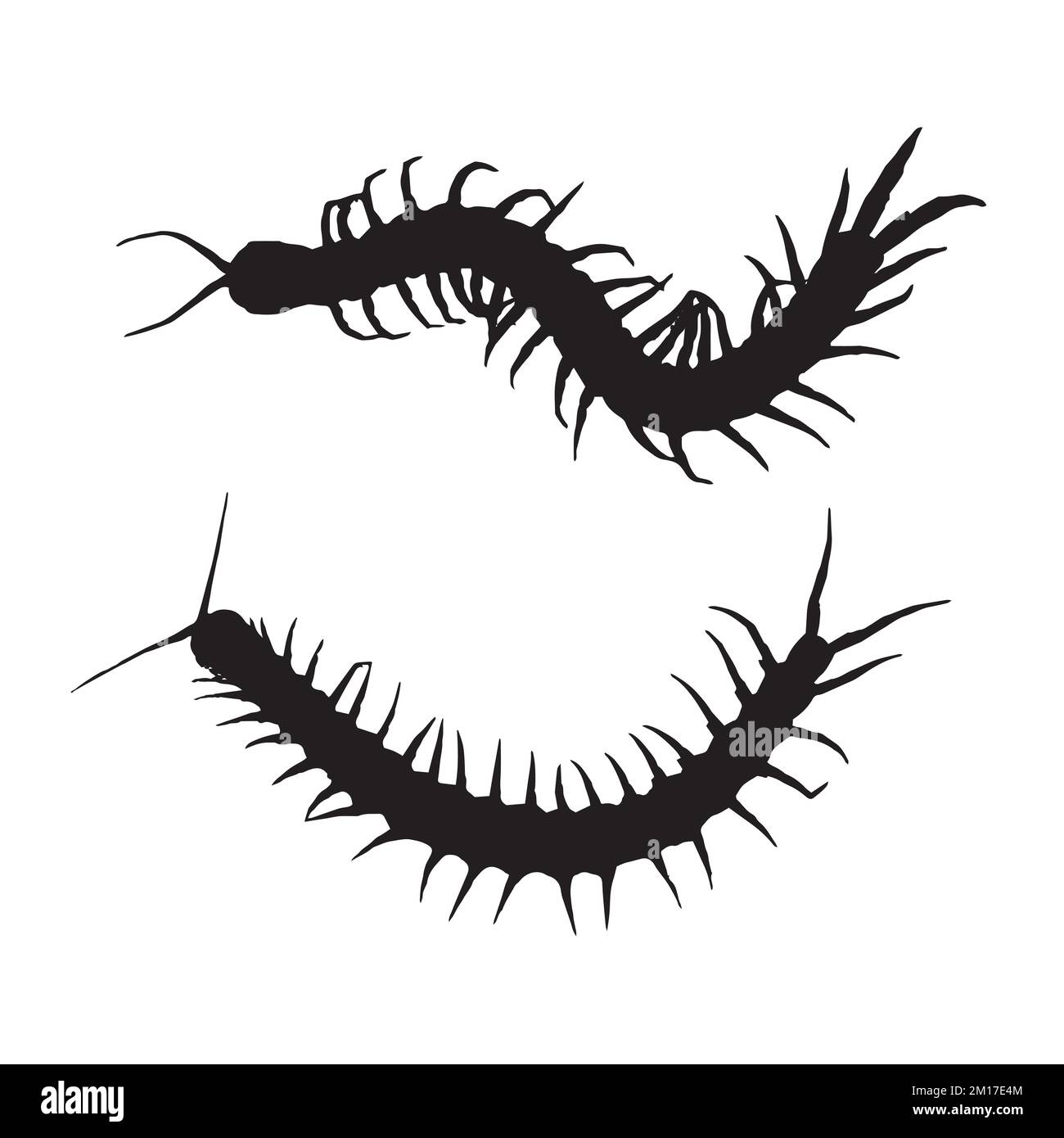 Centipede Silhouette Art Stock Vector Image & Art - Alamy