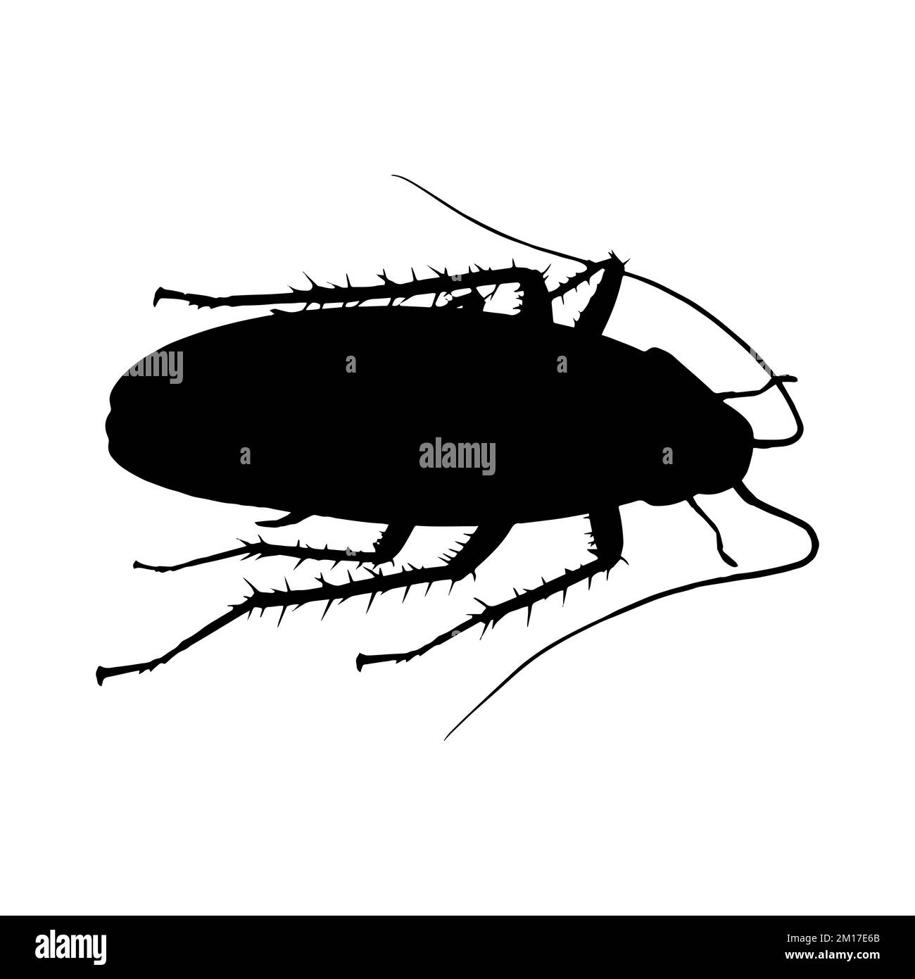 Vector Illustration of Cockroach Silhouette Stock Vector Image & Art ...