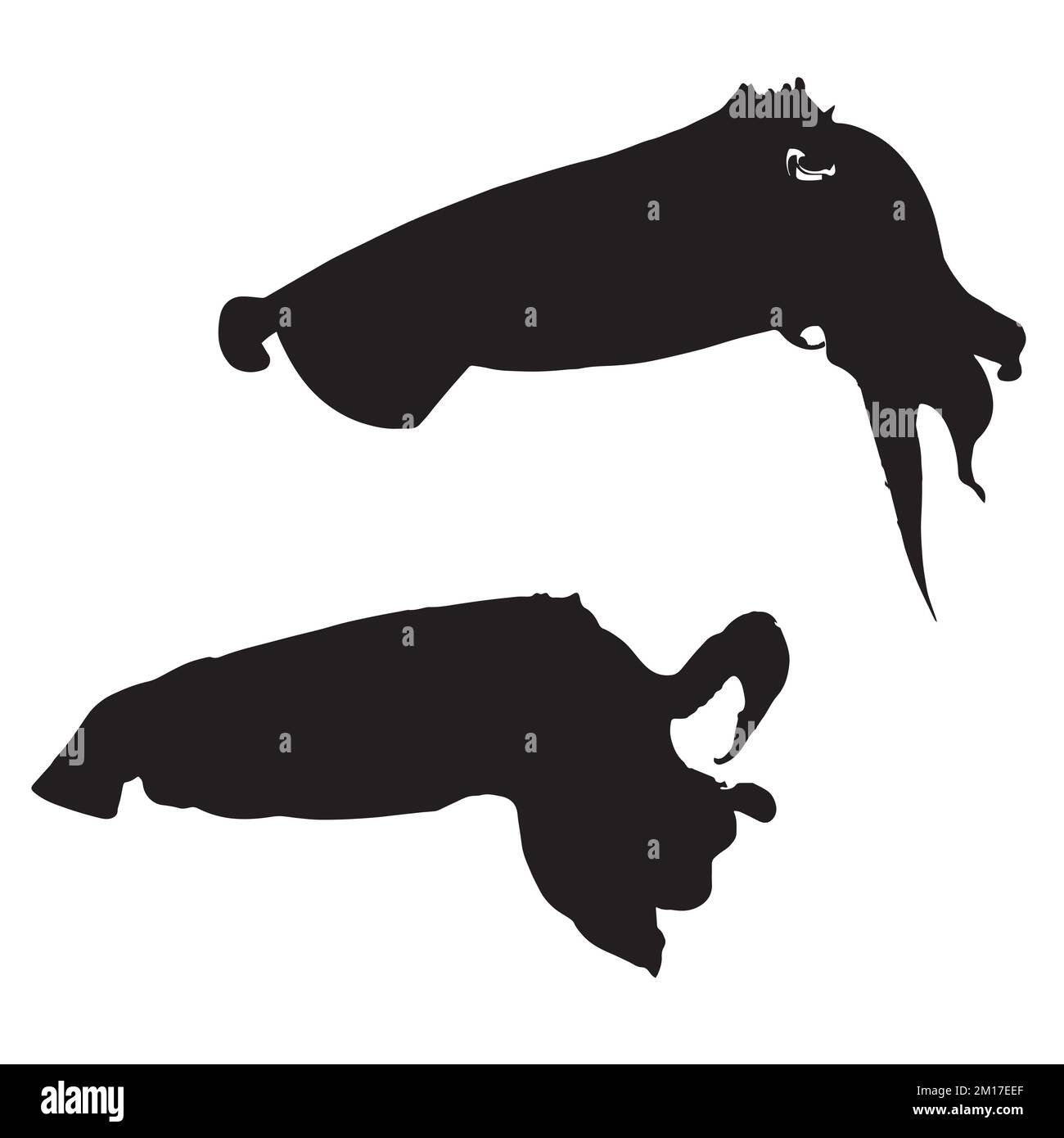 Vector Illustration of Cuttlefish Silhouette Stock Vector Image & Art ...