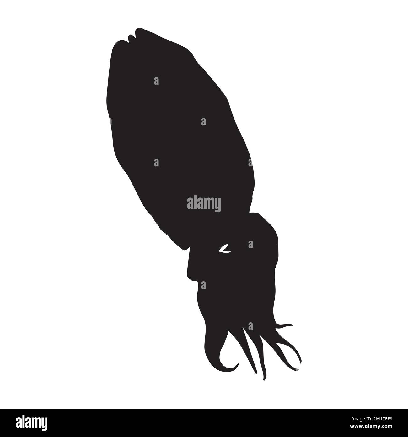 Vector Illustration of Cuttlefish Silhouette Stock Vector Image & Art ...