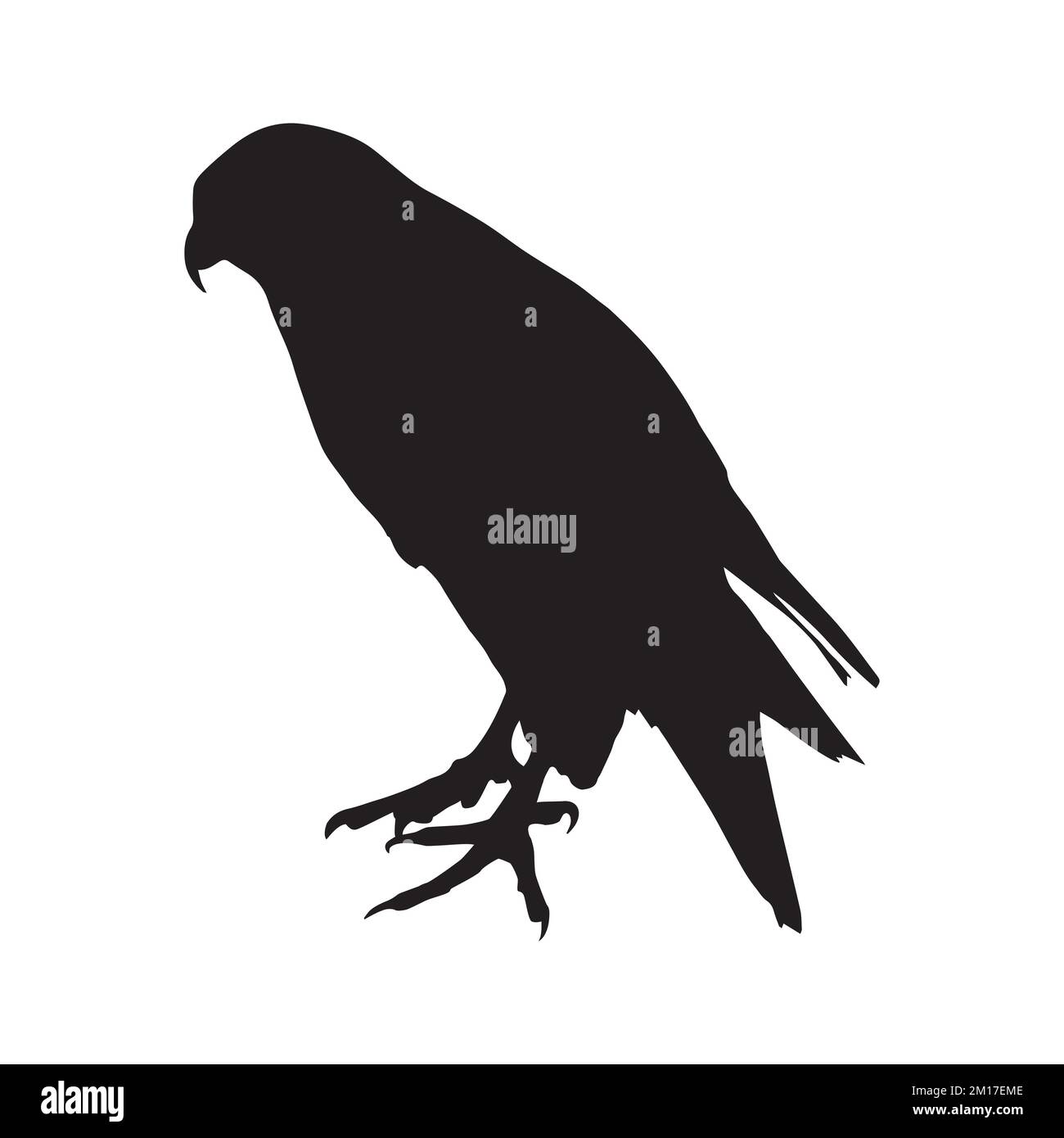 Vector Illustration of Falcon Silhouette Art Stock Vector Image & Art ...