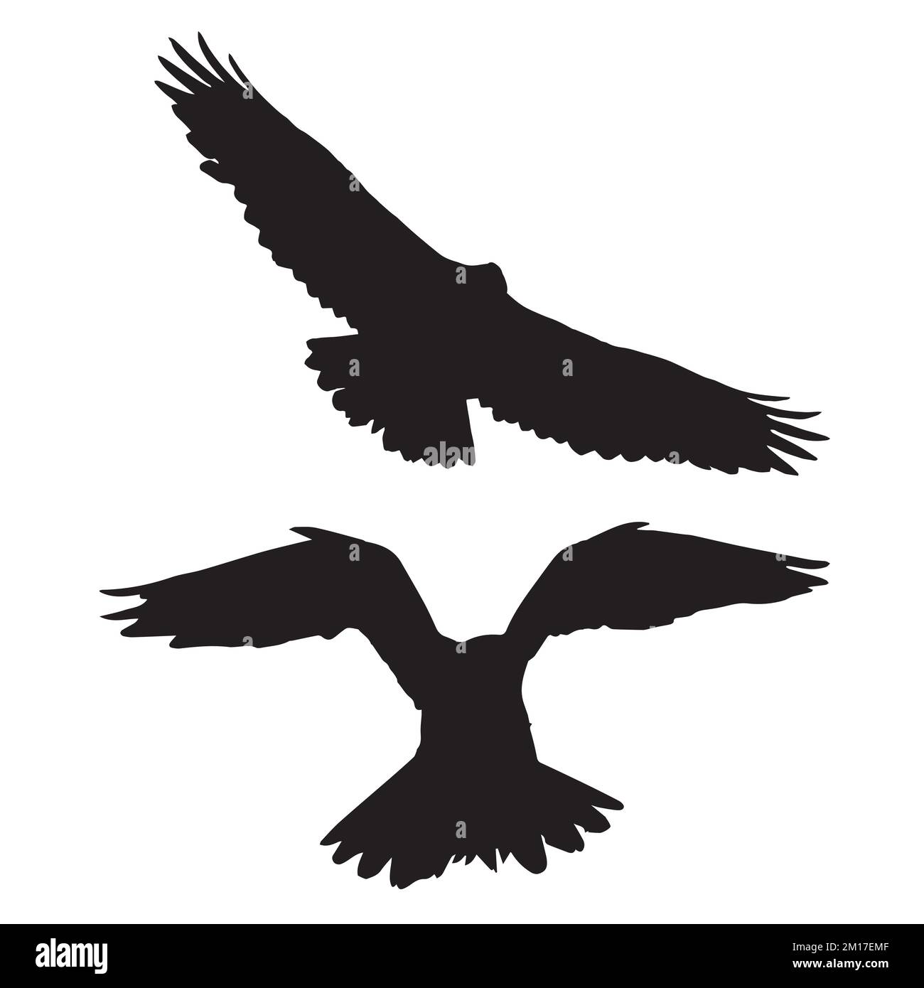 Vector Illustration of Falcon Silhouette Art Stock Vector Image & Art ...