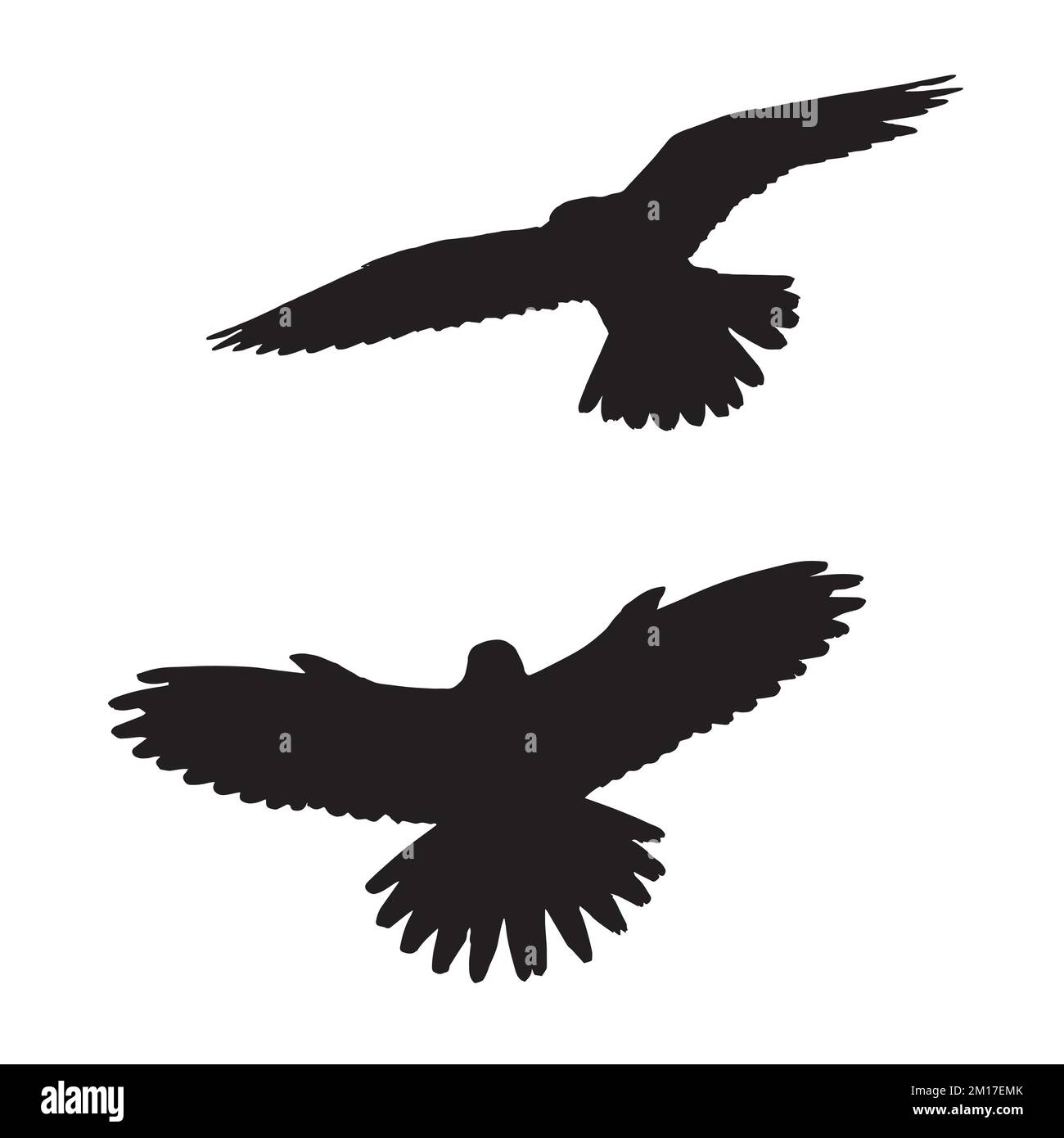 Vector Illustration of Falcon Silhouette Art Stock Vector Image & Art ...
