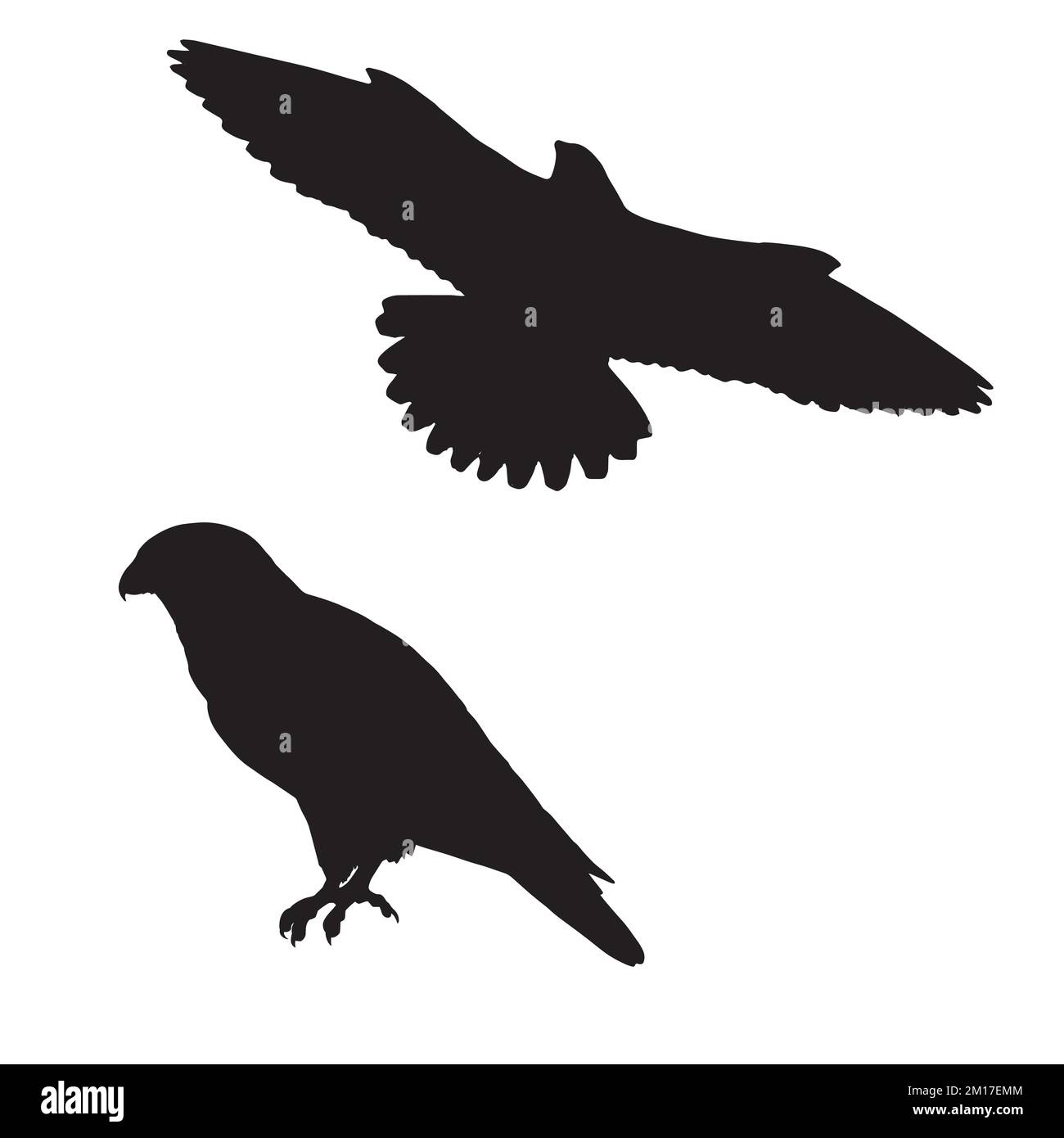 Vector Illustration of Falcon Silhouette Art Stock Vector Image & Art ...