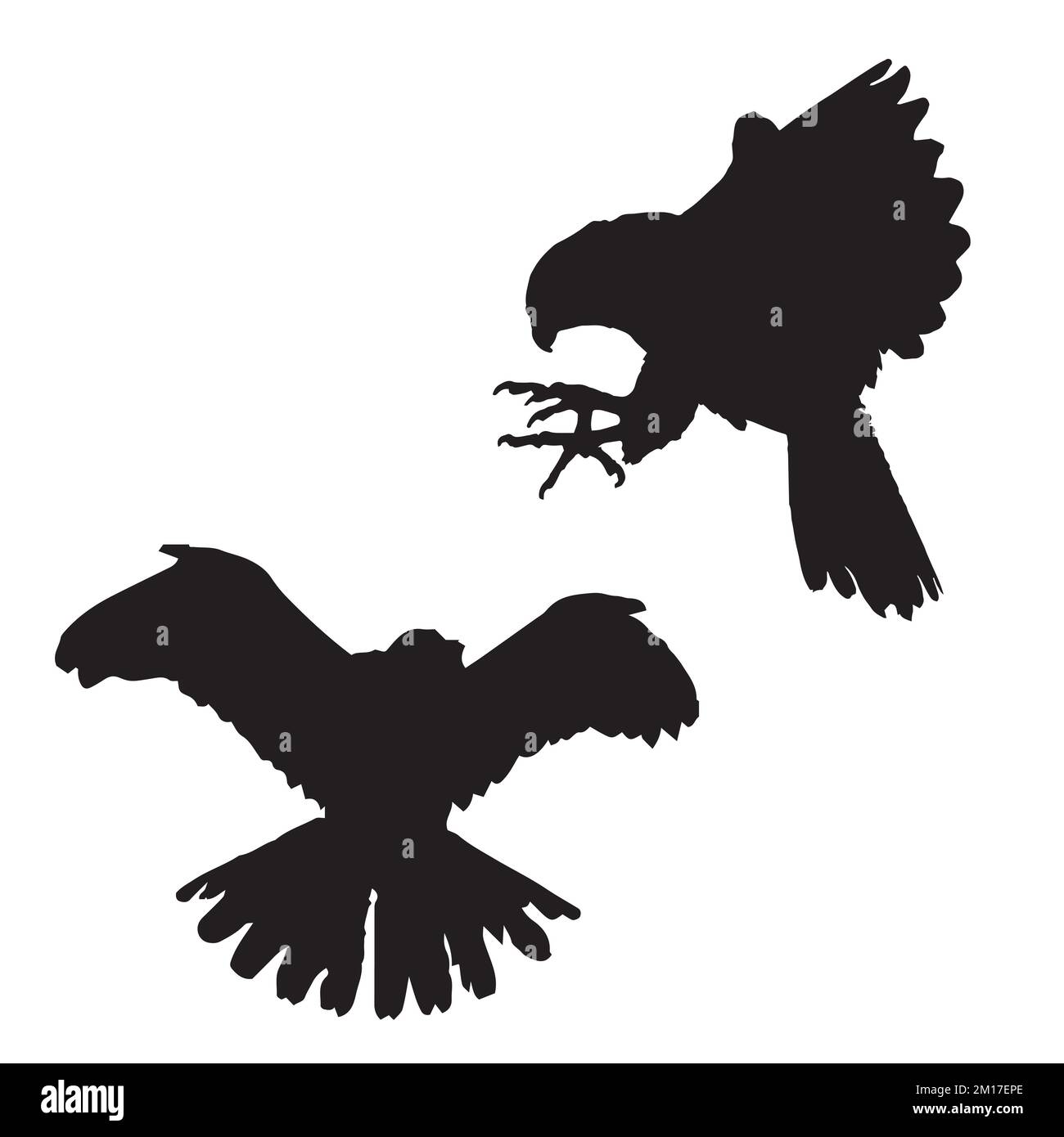 Vector Illustration of Falcon Silhouette Art Stock Vector Image & Art ...