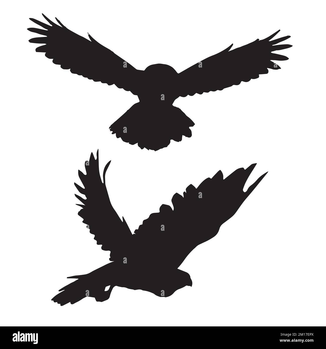 Vector Illustration of Falcon Silhouette Art Stock Vector Image & Art ...