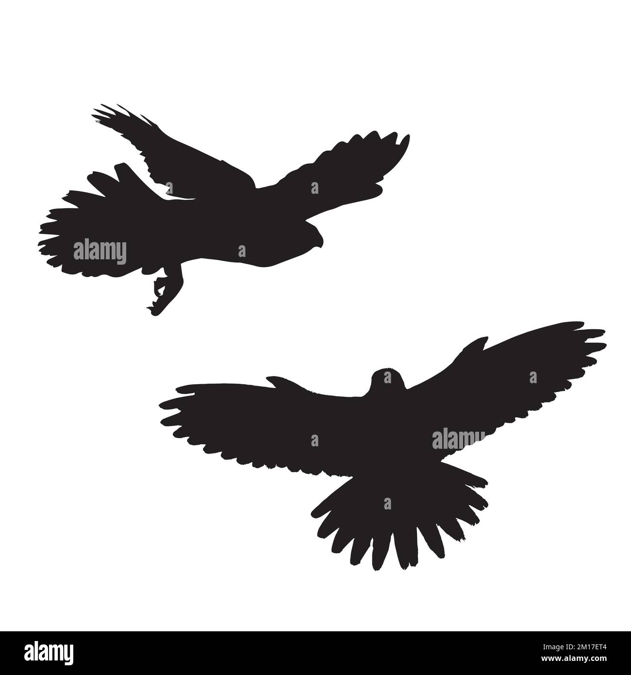 Vector Illustration of Falcon Silhouette Art Stock Vector Image & Art ...