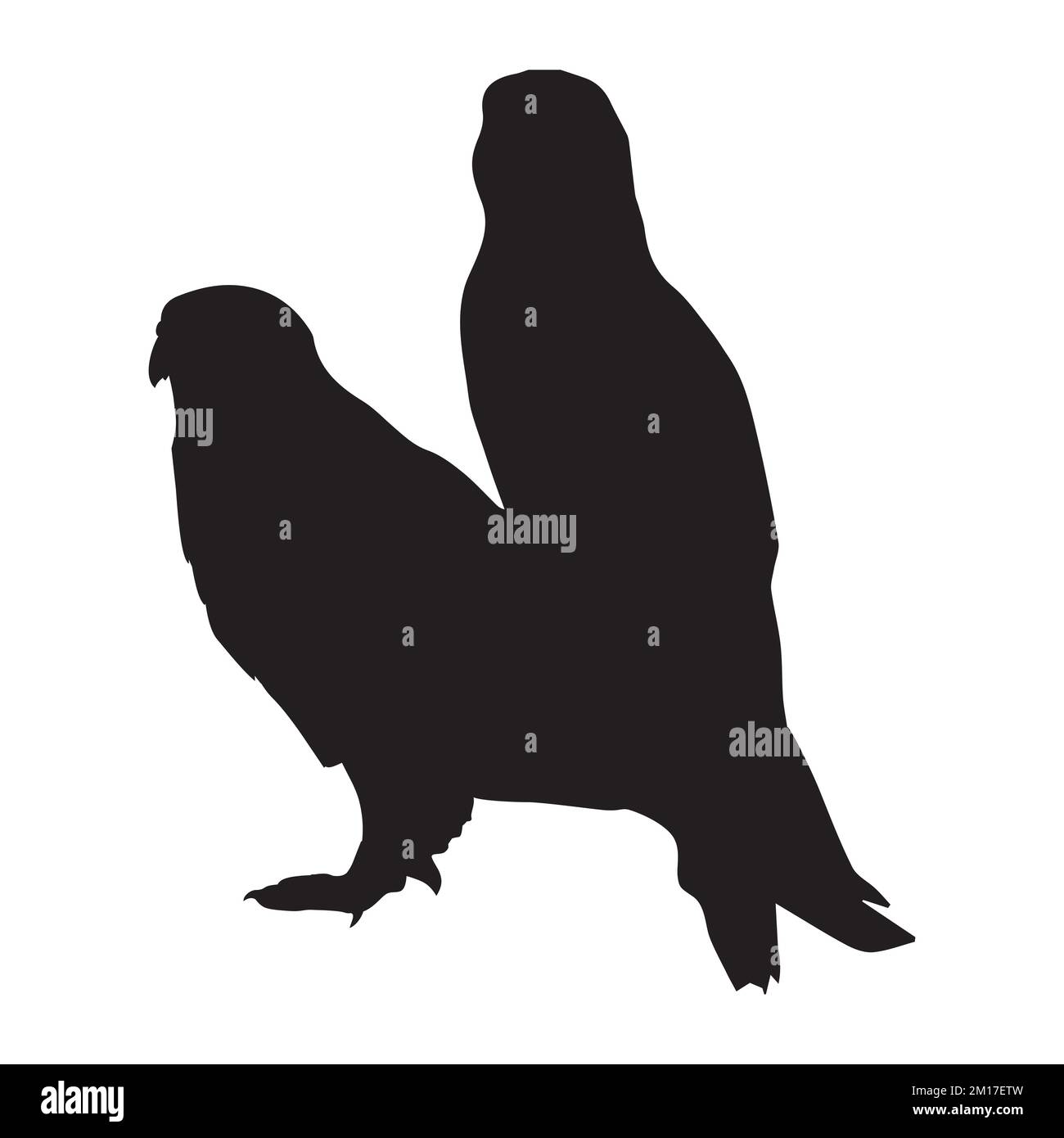 Vector Illustration of Falcon Silhouette Art Stock Vector Image & Art ...