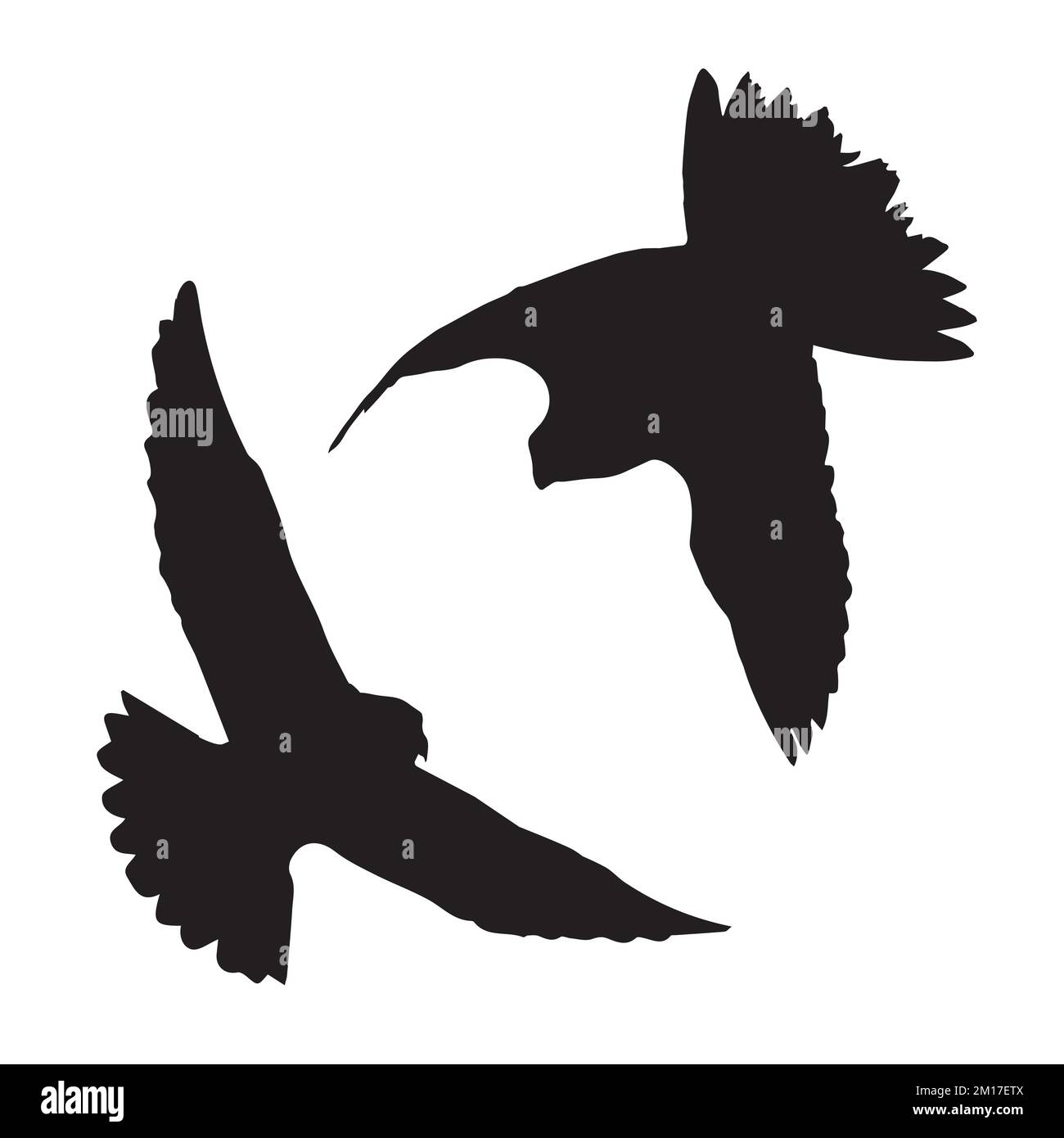 Vector Illustration of Falcon Silhouette Art Stock Vector Image & Art ...