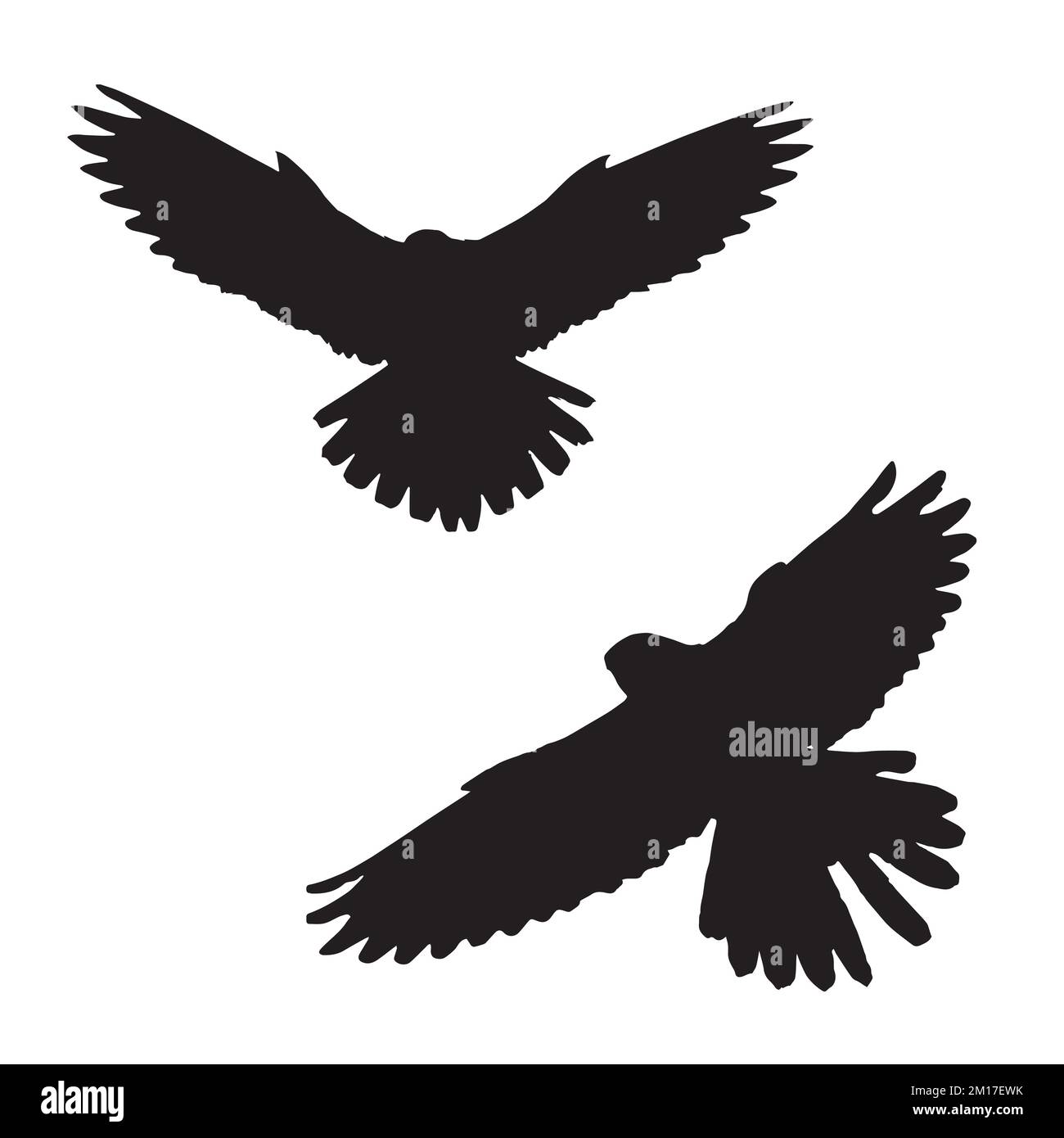 Vector Illustration of Falcon Silhouette Art Stock Vector Image & Art ...