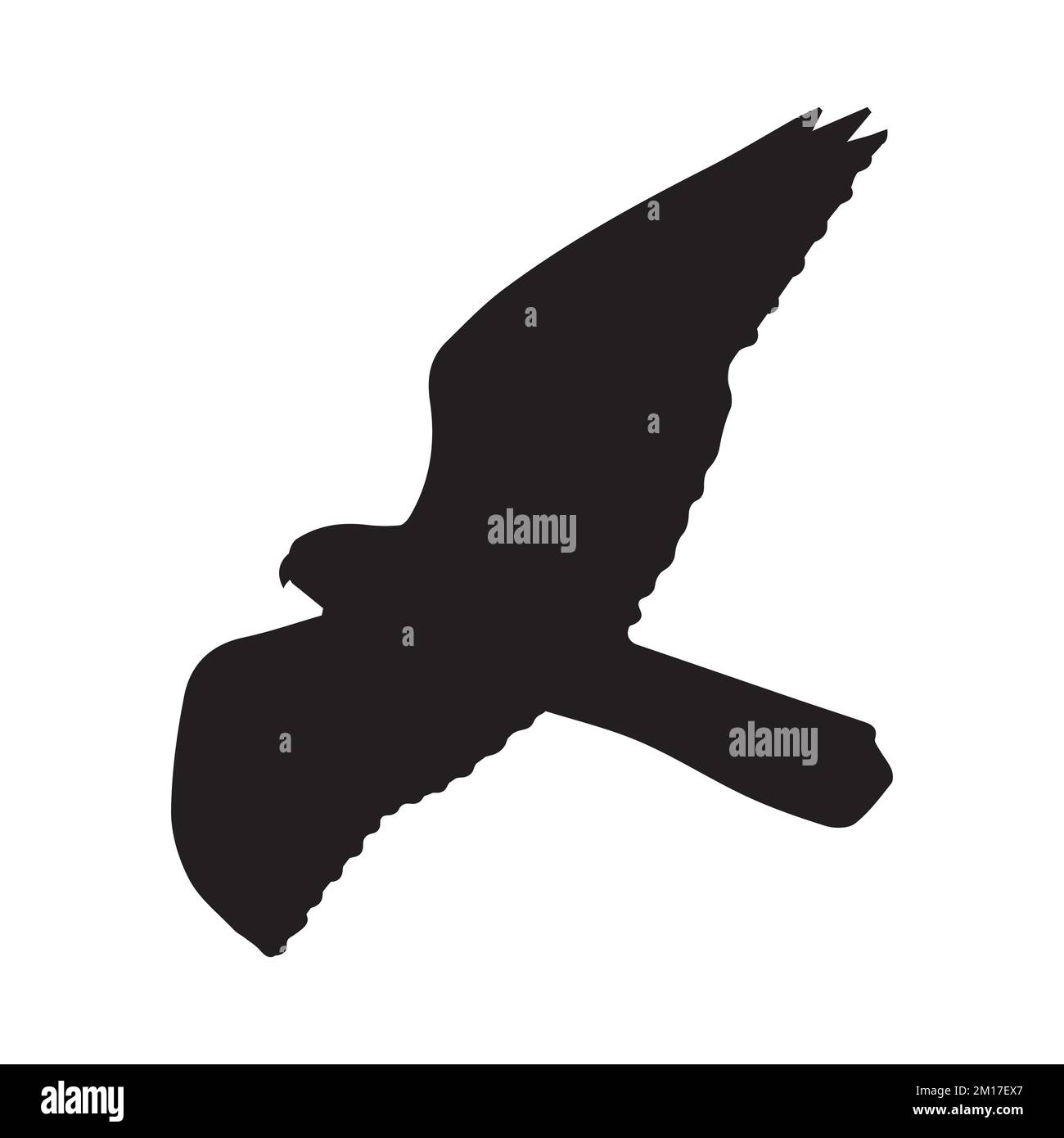Vector Illustration of Falcon Silhouette Art Stock Vector Image & Art ...