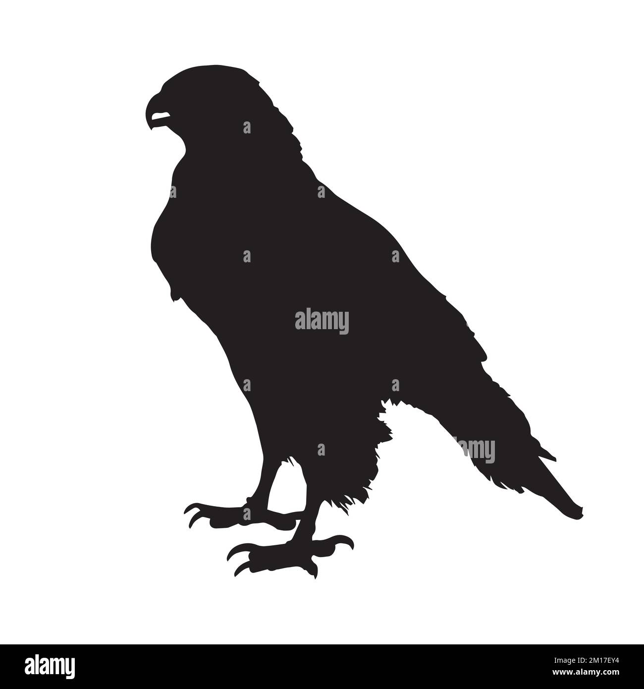 Vector Illustration of Falcon Silhouette Art Stock Vector Image & Art ...