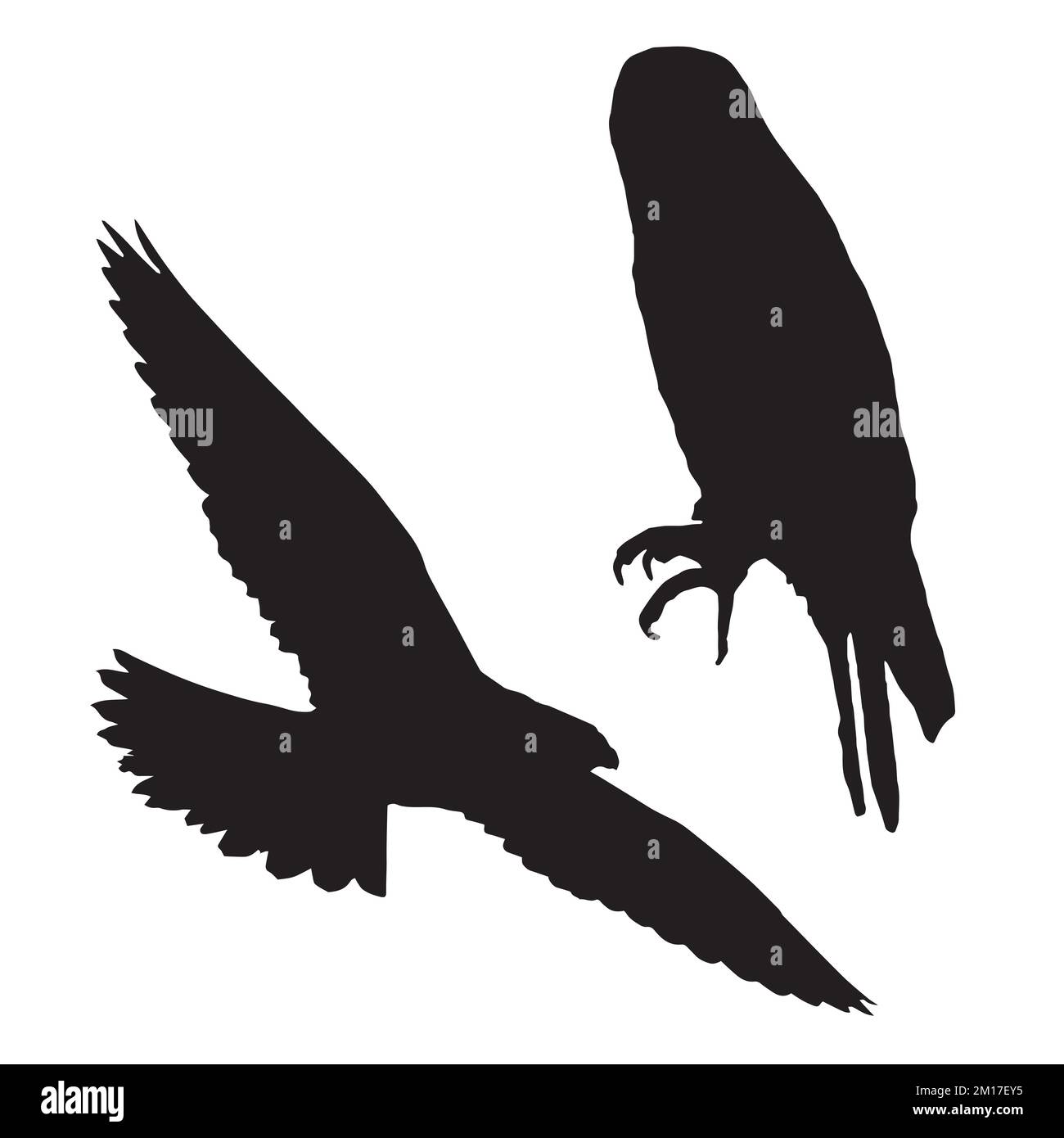 Vector Illustration of Falcon Silhouette Art Stock Vector Image & Art ...