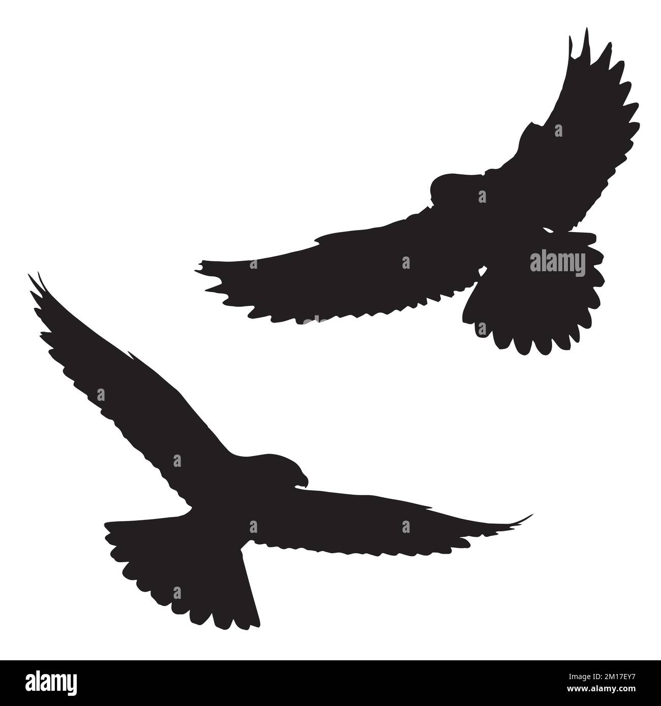Vector Illustration of Falcon Silhouette Art Stock Vector Image & Art ...