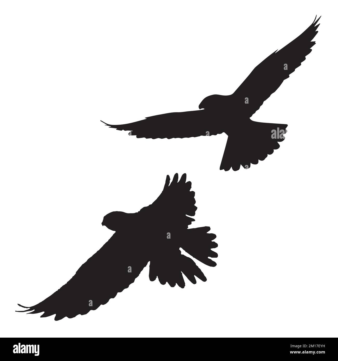 Vector Illustration of Falcon Silhouette Art Stock Vector Image & Art ...