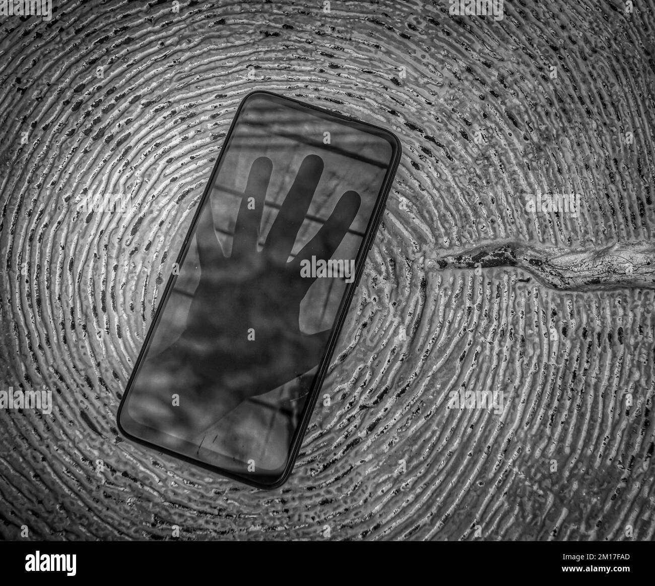 Close up of a mobile phone on a tree trunk Stock Photo - Alamy