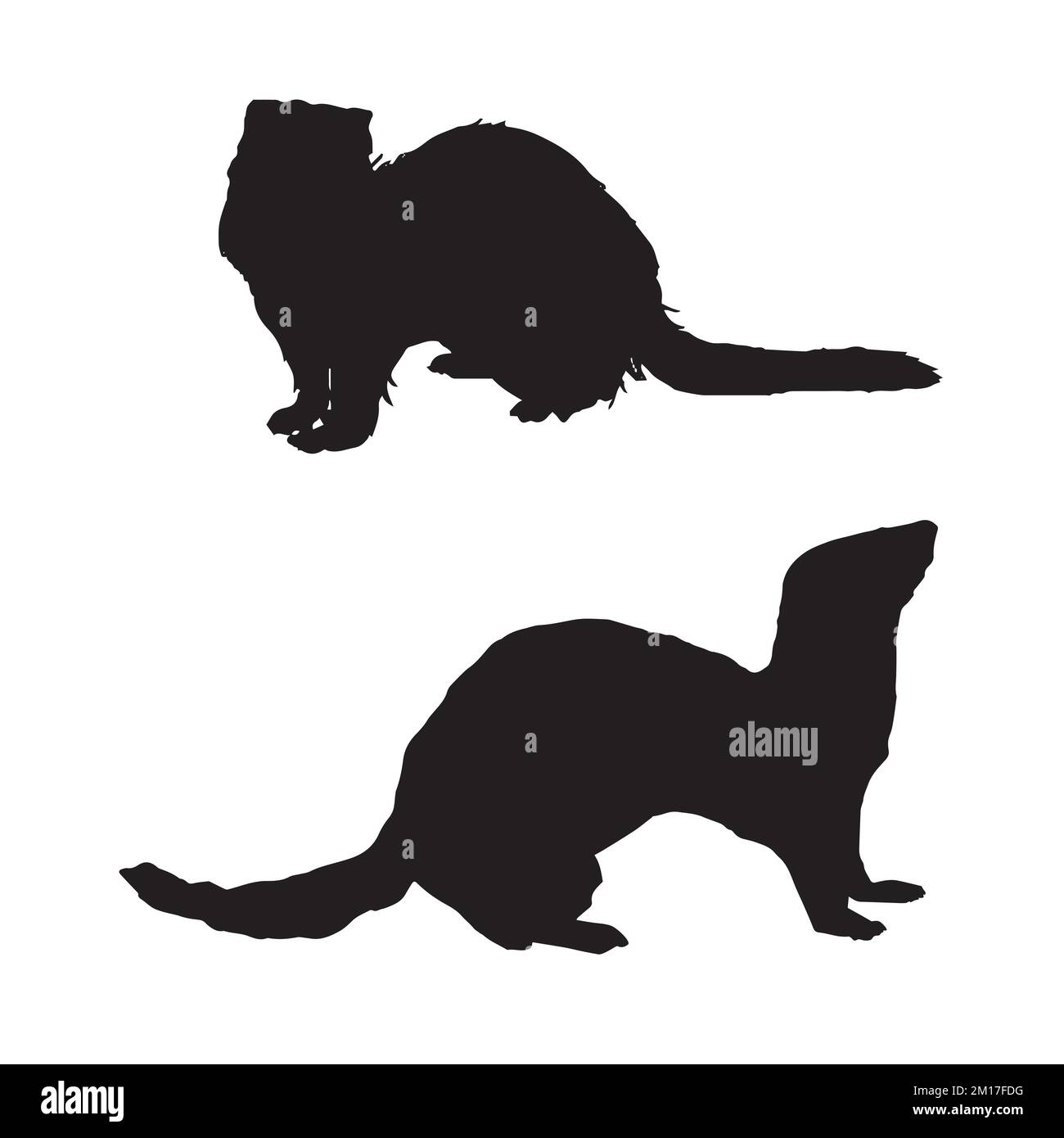 Ferret Art Silhouette Stock Vector Image & Art - Alamy