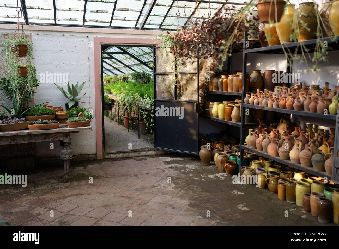 Houseplant store hi-res stock photography and images - Alamy