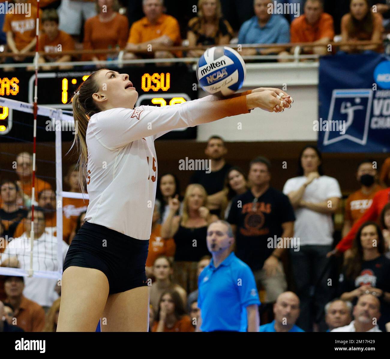 Molly austin hi-res stock photography and images - Alamy