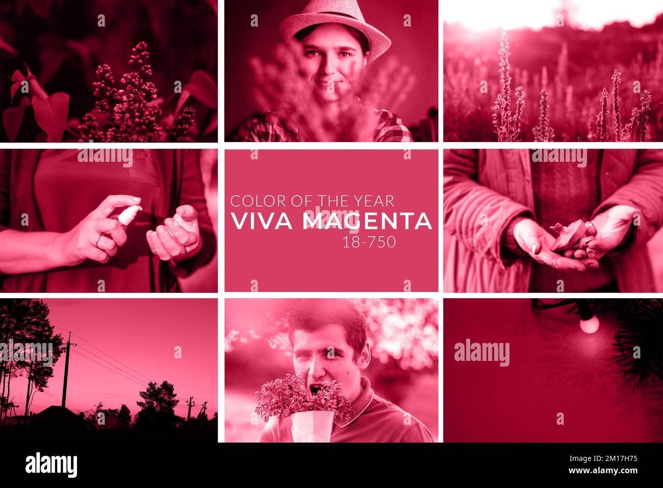 Color of the year 2023 color of the year hi-res stock photography and ...