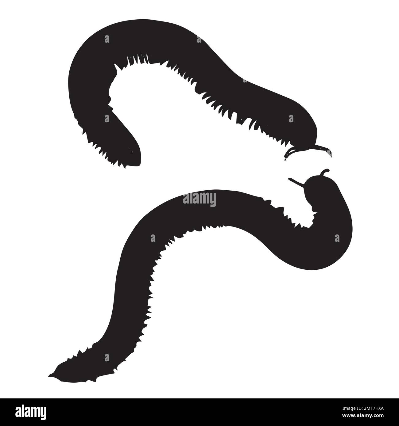 Vector Illustration of Millipede Silhouette Stock Vector Image & Art ...