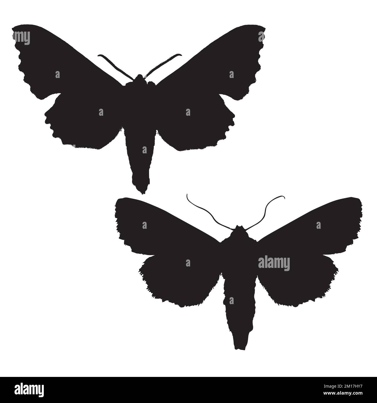 Moth Art Silhouette Stock Vector Image & Art - Alamy