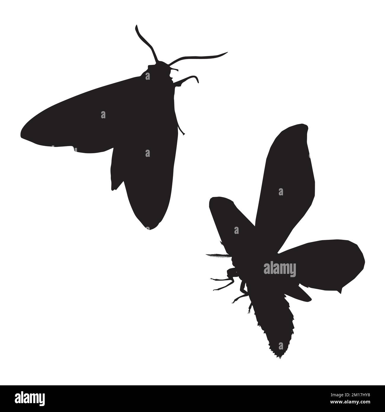 Moth Art Silhouette Stock Vector Image & Art - Alamy