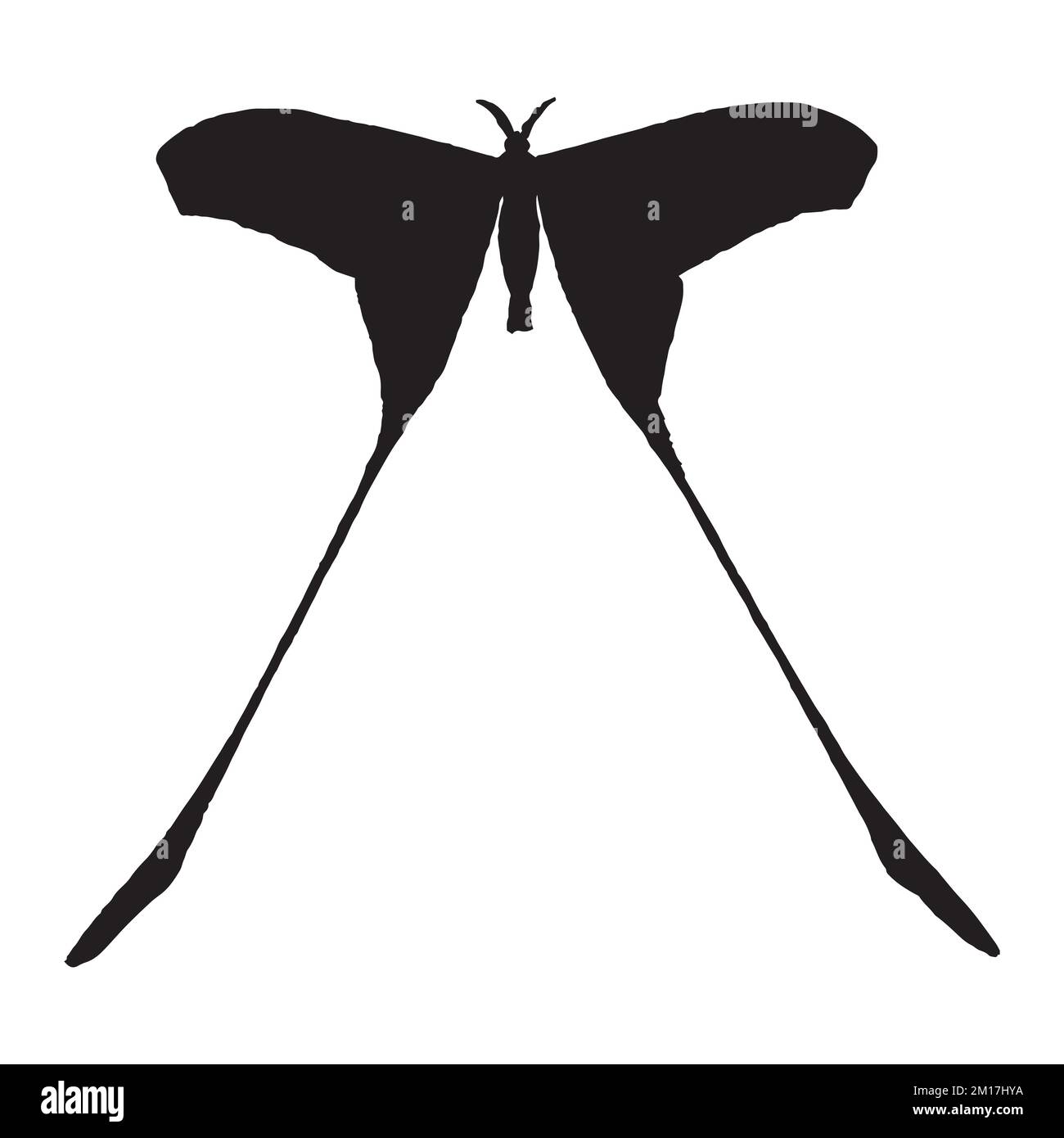 Moth Art Silhouette Stock Vector Image & Art - Alamy