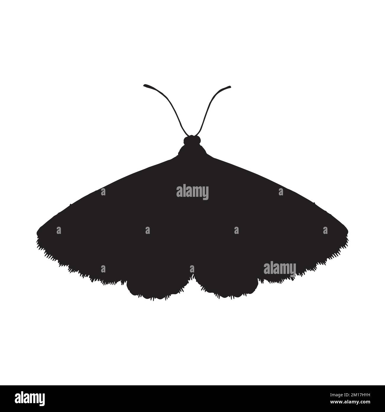 Moth Art Silhouette Stock Vector Image & Art - Alamy