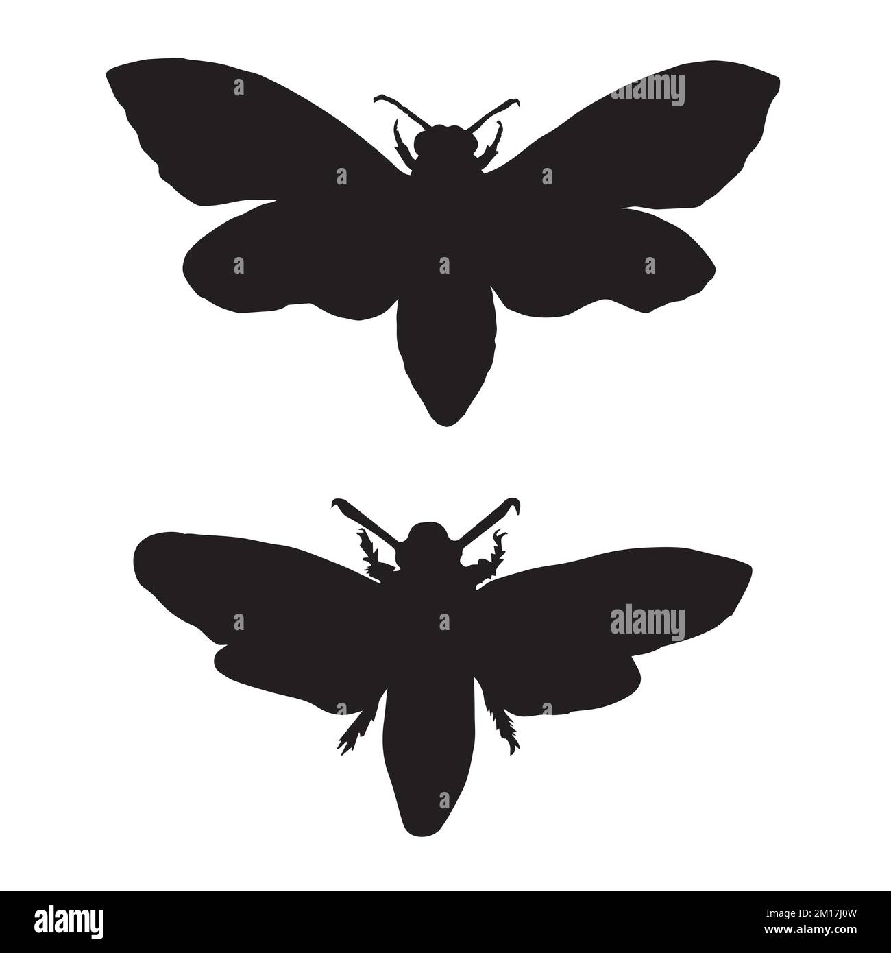 Moth Art Silhouette Stock Vector Image & Art - Alamy