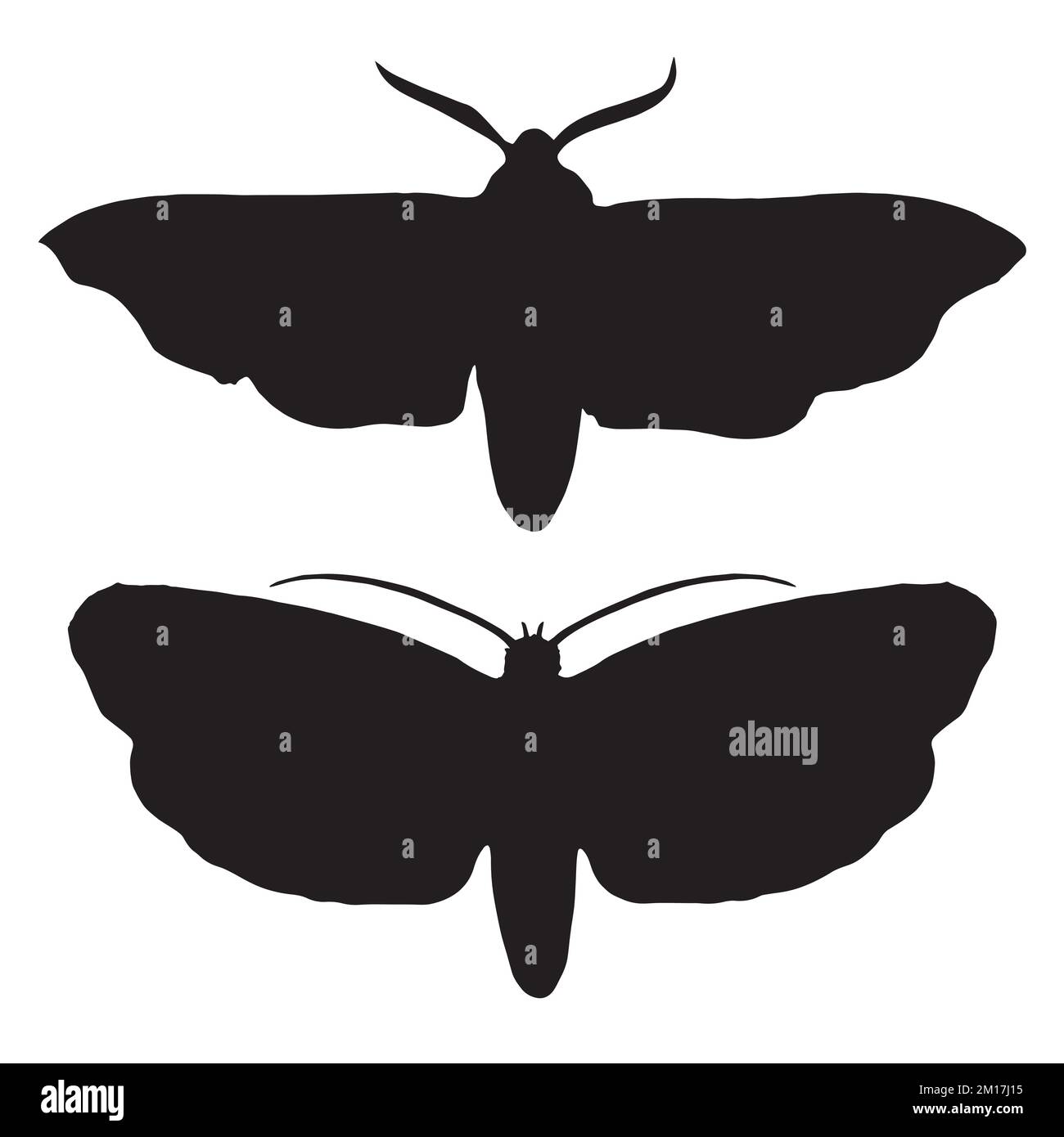 Moth Art Silhouette Stock Vector Image & Art - Alamy