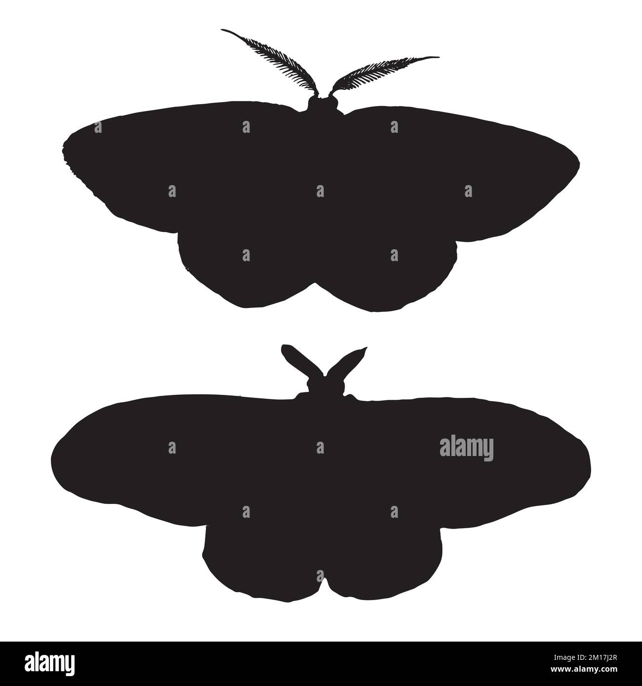 Moth Art Silhouette Stock Vector Image & Art - Alamy
