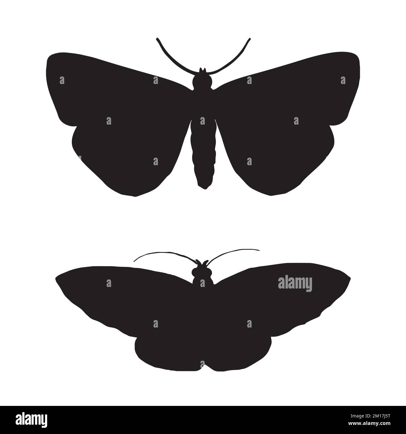 Moth Art Silhouette Stock Vector Image & Art - Alamy