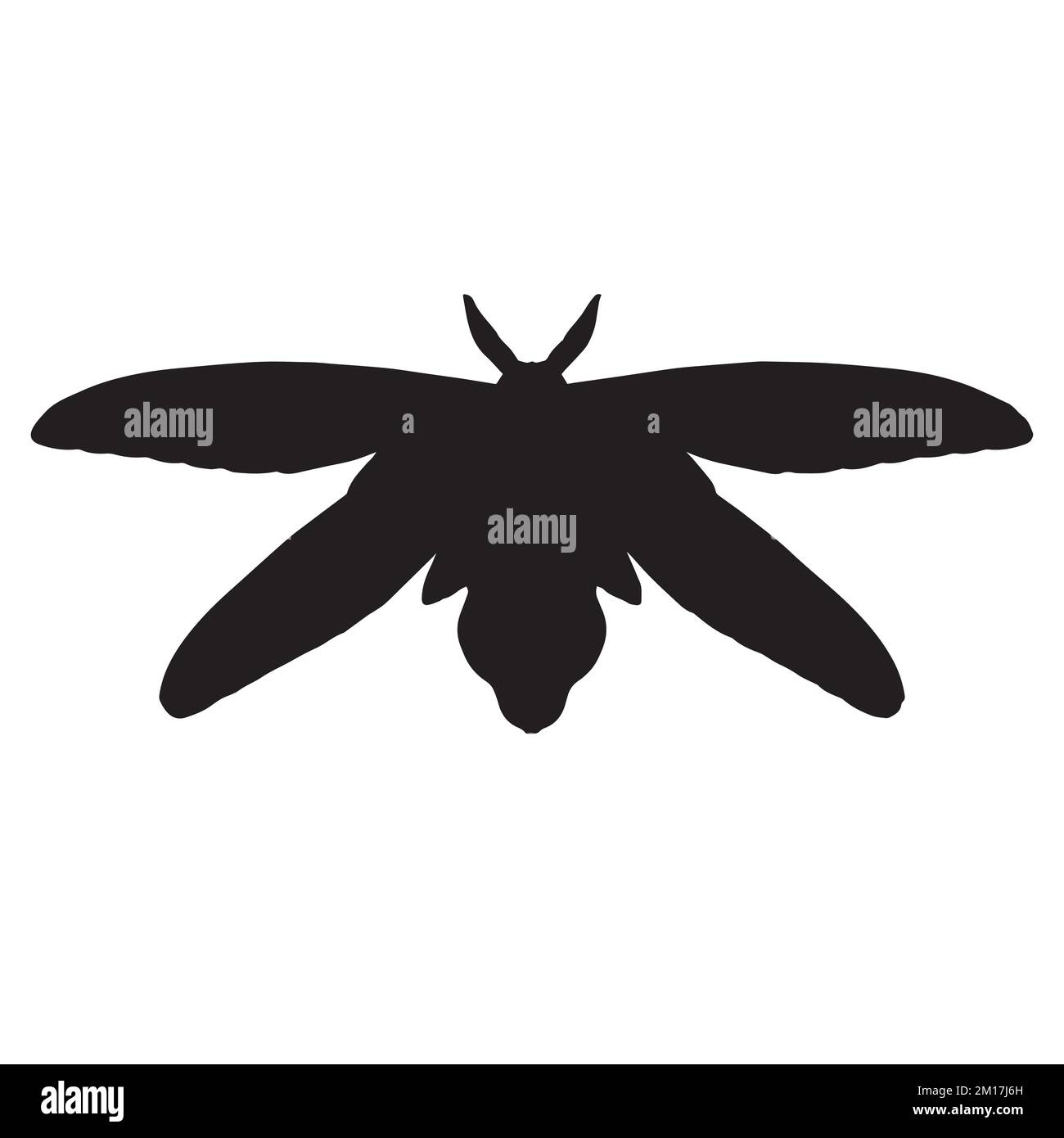 Moth Art Silhouette Stock Vector Image & Art - Alamy