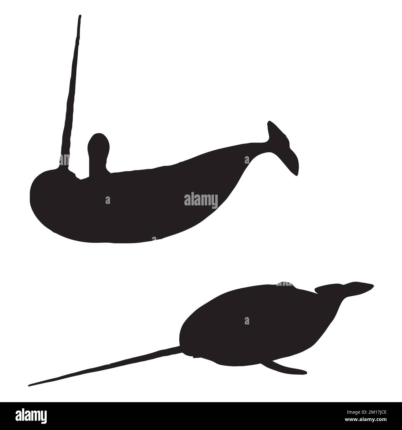 Narwhal marine animal cartoon Cut Out Stock Images & Pictures - Alamy