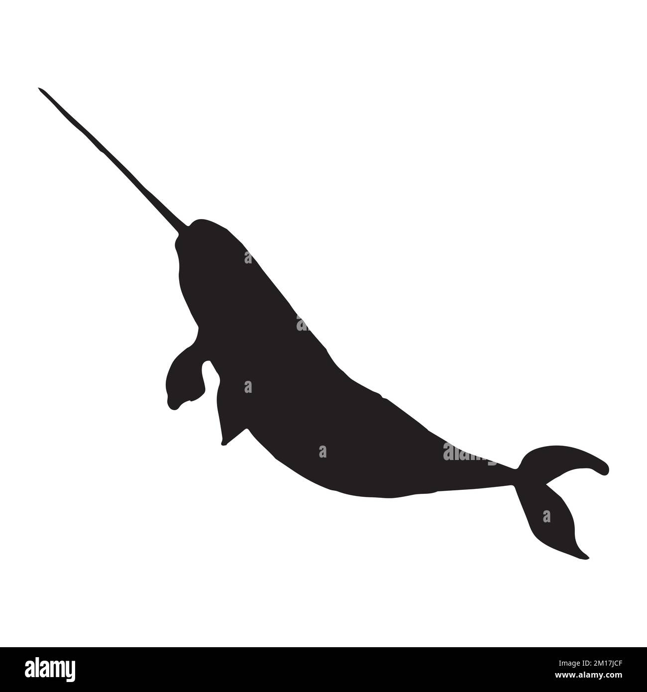 Vector Illustration of Narwhal Silhouette Stock Vector Image & Art - Alamy