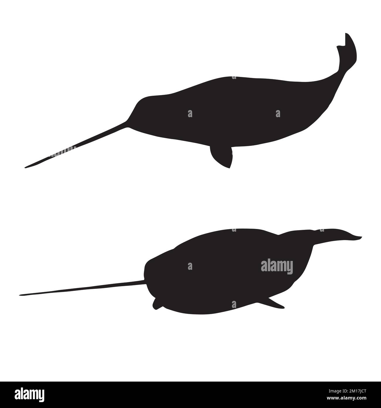 Narwhal art hi-res stock photography and images - Alamy